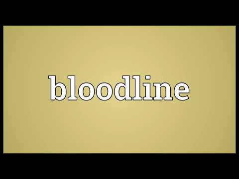 Bloodline Meaning