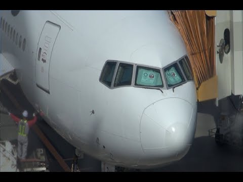 Flying Economy : A Review of Japan Airlines VS Emirates
