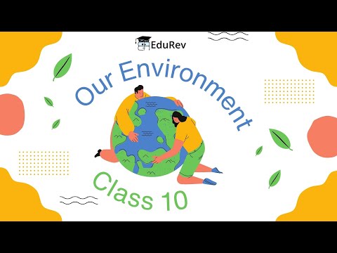 Quick Revision: Our Environment Video Lecture - Biology for SSS 1