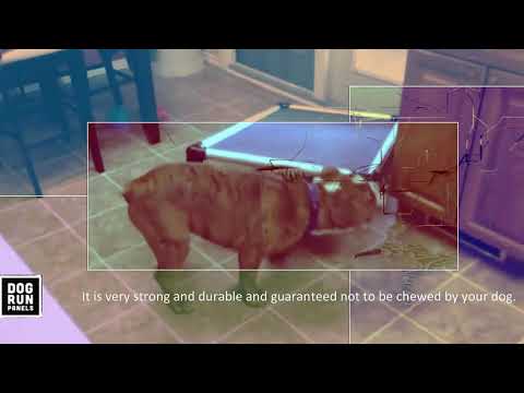 Kuranda Aluminium Raised Dog Beds