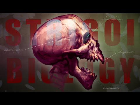 Strigoi Biology Explained | The Science of the Strigoi