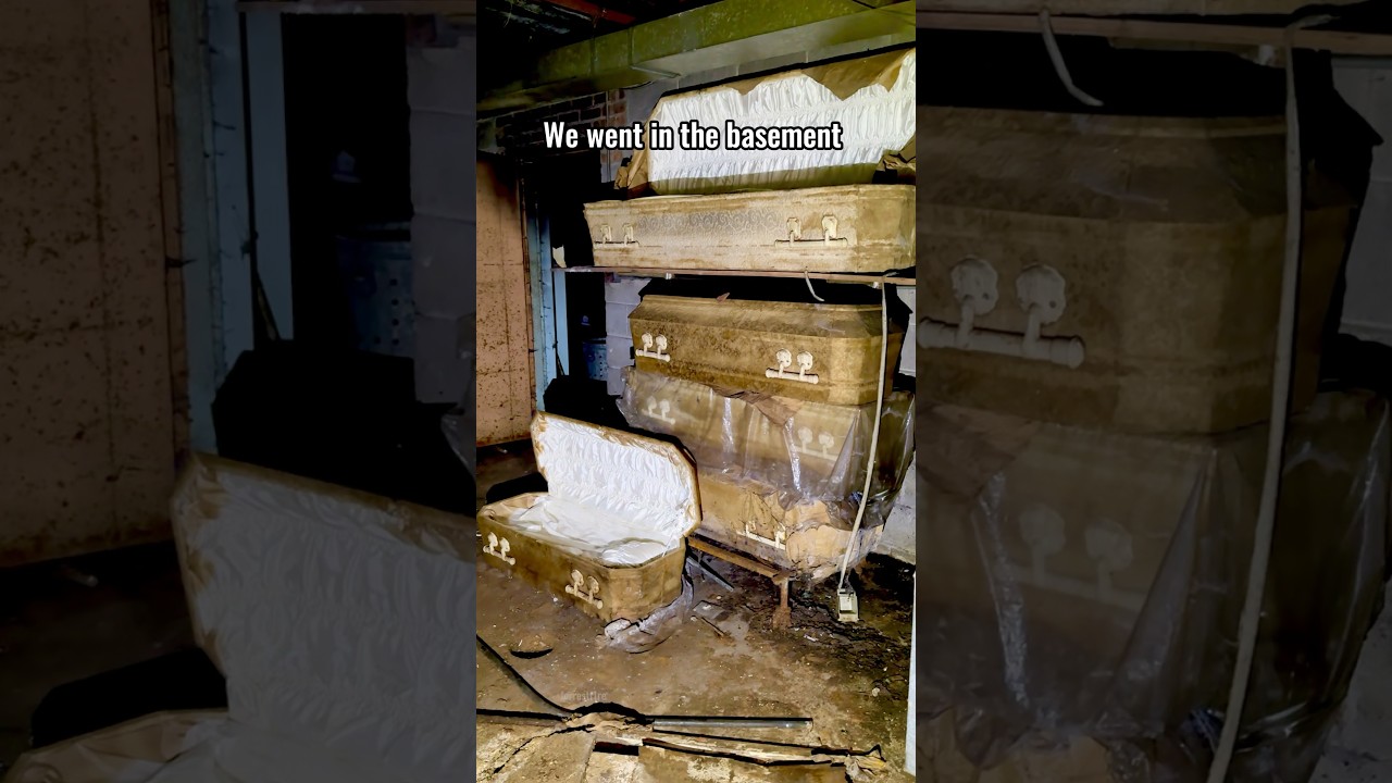 They’ve Been Down Here For 15 Years