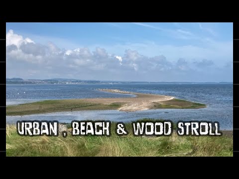 Tree hugger & Urban, beach & wood atroll.