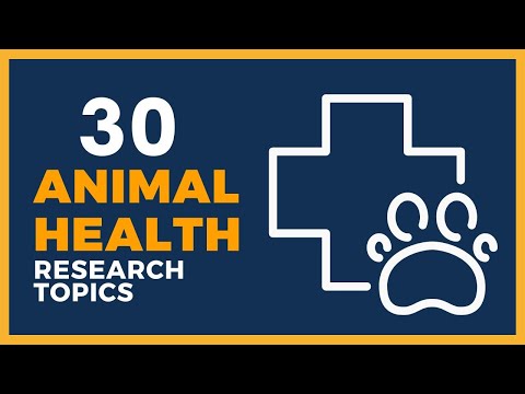 30 RESEARCH PAPER TOPICS IN ANIMAL HEALTH FOR 2025