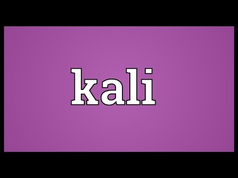 Kali Meaning
