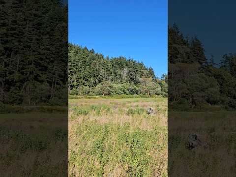 Camano Island Washington