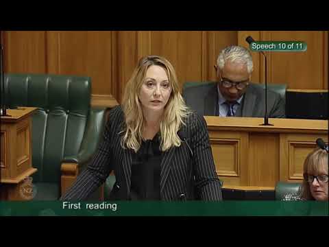 Employment Relations (Triangular Employment) Amendment Bill - First Reading - Video 10
