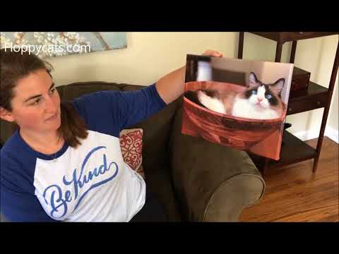 Best Canvas Printing Service Canvas Print from Canvas People Product Review - Floppycats