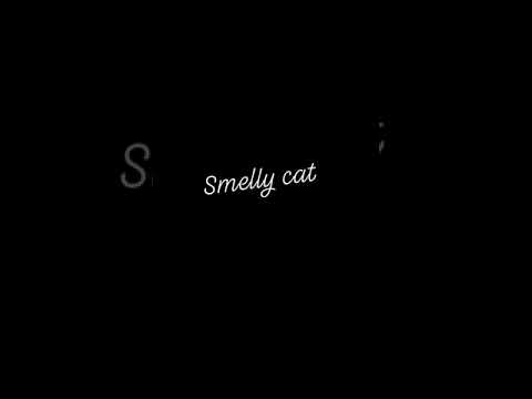 SMELLY CAT by Phoebe Buffay COVER