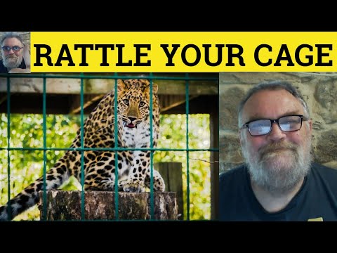 🔵 Rattle Someone's Cage Meaning - Rattle Someone's Cage Examples - Rattle Someone's Cage Defined