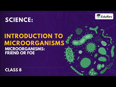 Introduction to Microorganisms Video Lecture - Class 8