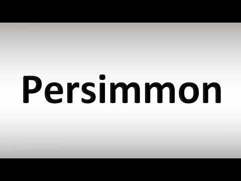 Persimmon Pronunciation Guide
