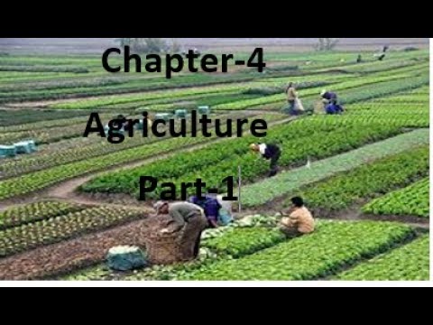 AGRICULTURE PART 1 PRIMITIVE SUBSISTENCE FARMING