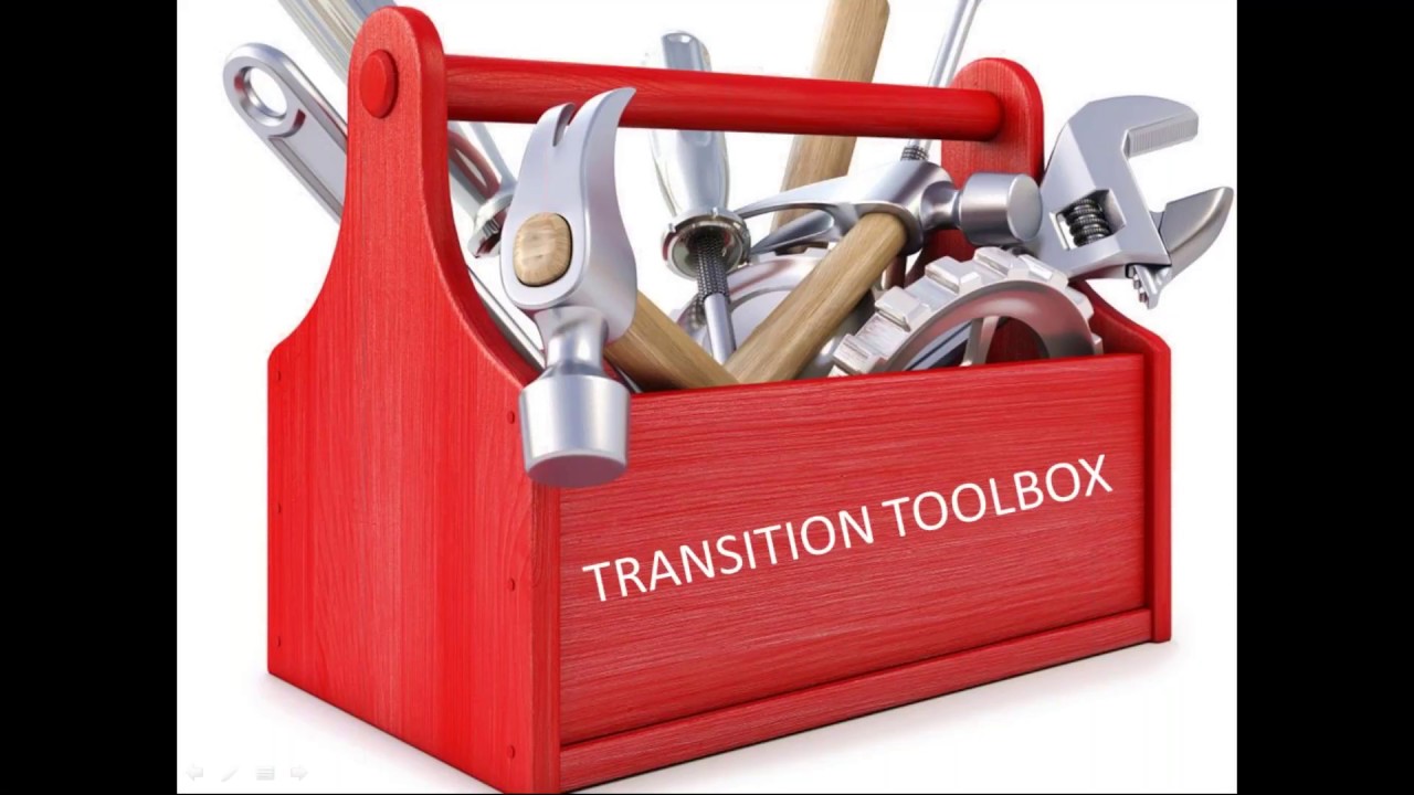 Navigating the Transition Years for People with ASD: From Preteen to Adulthood