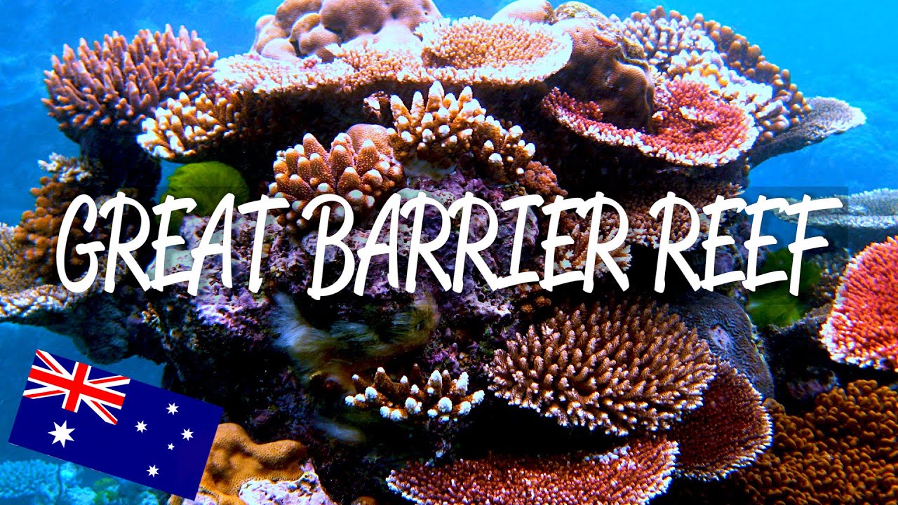 Great Barrier Reef - UNESCO World Heritage Site