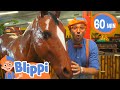 Blippi Learns About Jungle Animals At The Indoor Playground Watch HD ...