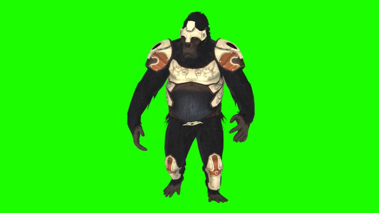 Gorilla walk animated front chroma