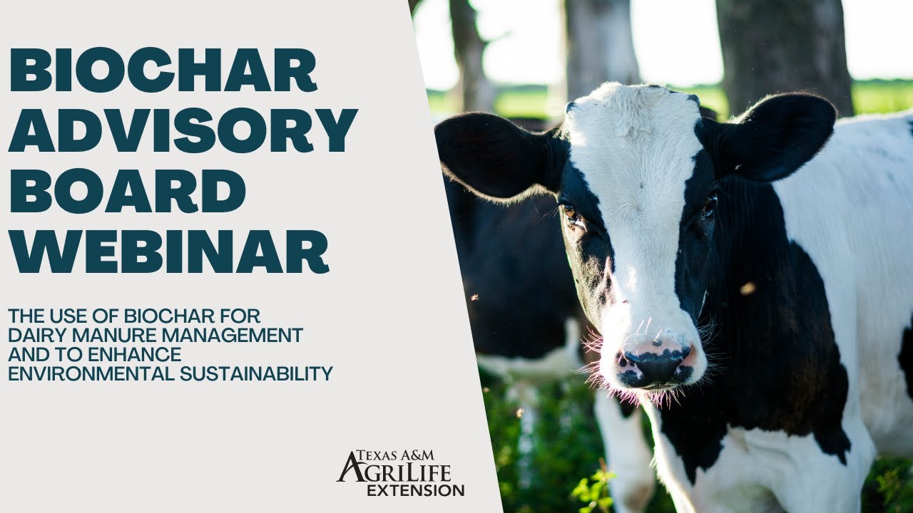 Biochar Webinar 2023