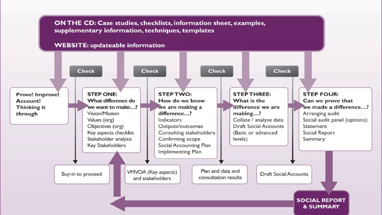 Social Accounting and Audit