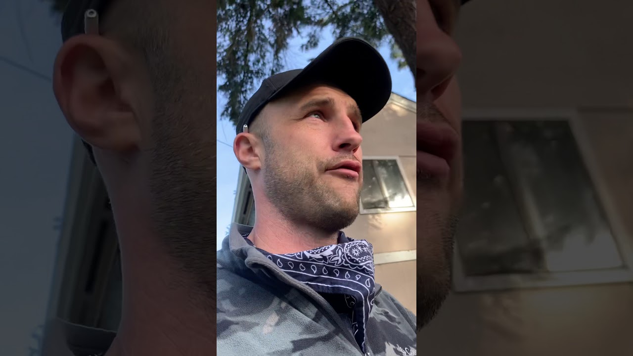 How To Bid Tree Removals