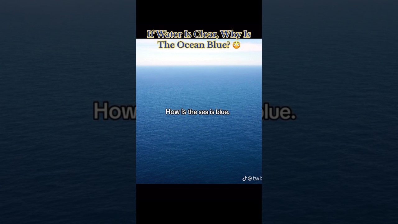 If Water Is Clear, Why Is The Ocean Blue? 🤔 #interesting