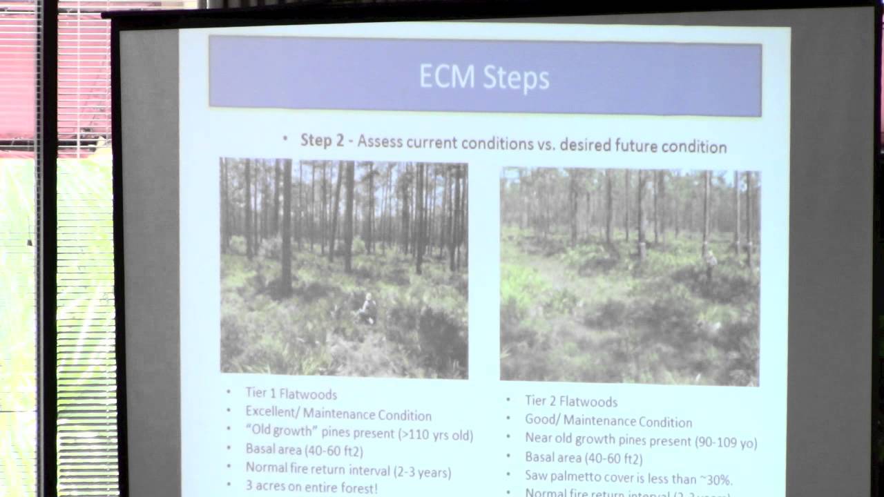 Presentation: Practical Use of Geospatial Technology for Managing the National Forests in Florida