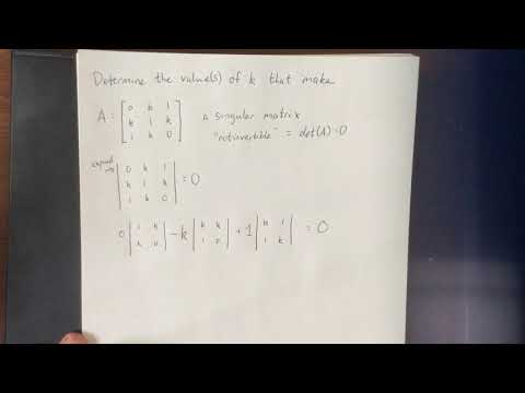 Determining if a matrix is singular: variable entries