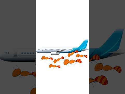 Ants solving the housing crisis! #animation #finance