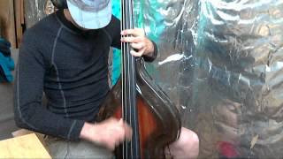 Ampeg BB-4 Baby Bass Electric Upright Bass - What To Know & Where To ...
