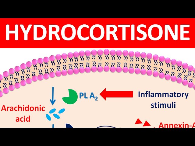 Haemorrhoid - Osil Cream 30gm Manufacturer from Surat
