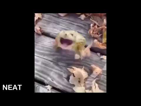 Steam Community :: Five Nights at Freddy's