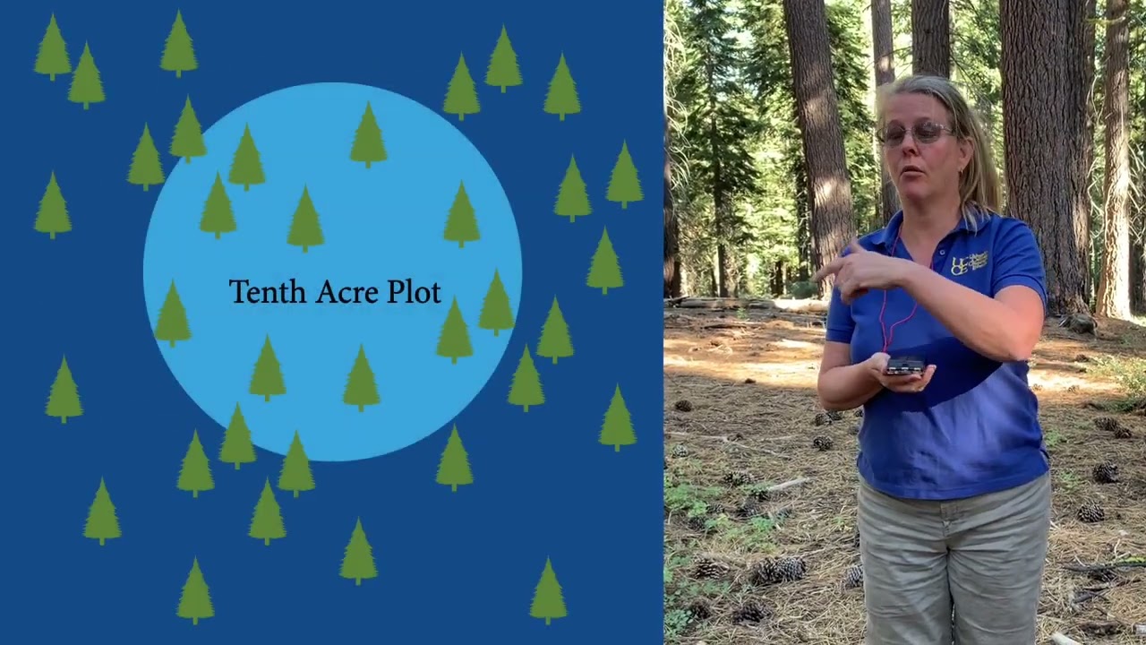 Forest Inventory Part 3: Plot Establishment Tools