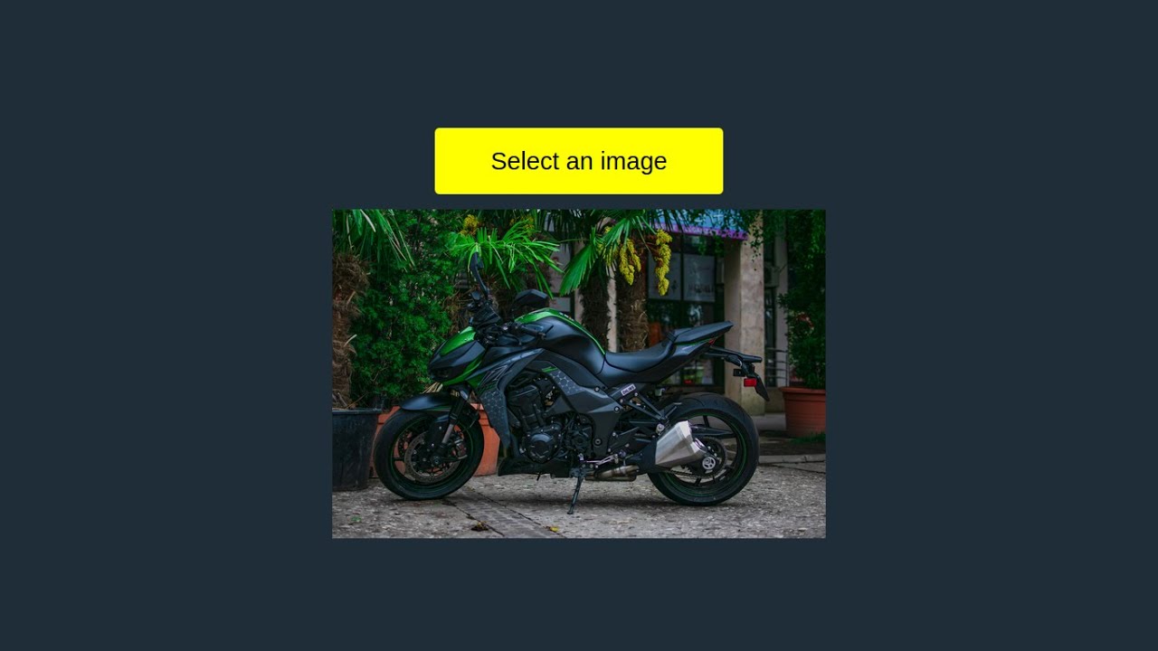 Displaying Selected Image On The Screen | JavaScript Tutorial