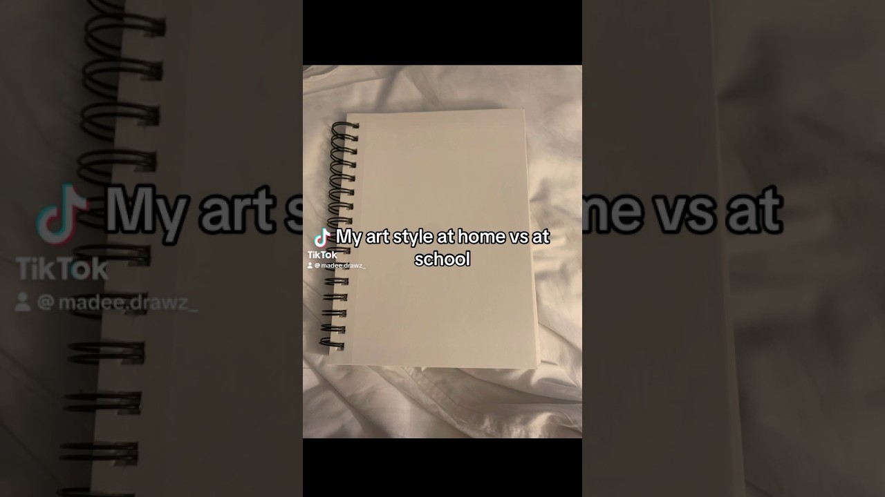 My art style at home vs at school