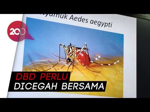 Ini Alasan Tingginya Penyakit Demam Berdarah di Januari 2019