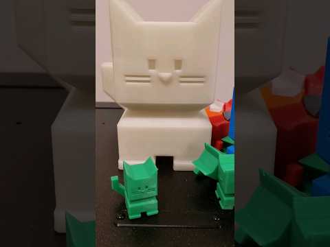 What's your go-to calibration test? Can't go wrong with the cali cat!#3dprinting #timelapse