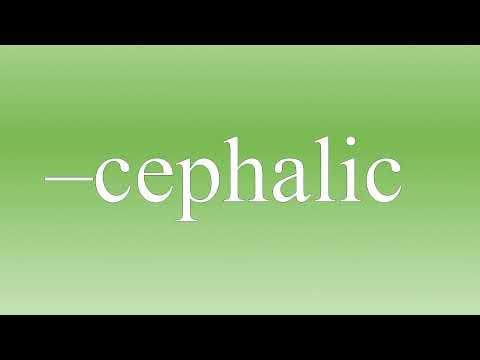 -cephalic - Meaning and How To Pronounce
