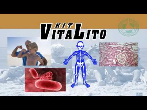 KIT VITALITO 50 CAPS
