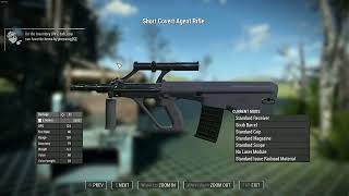 DiaRifles - Railroad AUG Demonstration for Nails and Spikes at Fallout ...