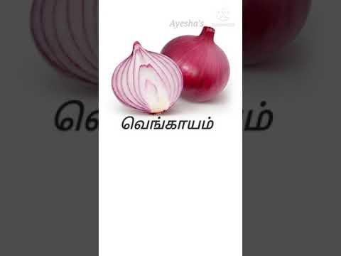 Scientific names of vegetable crops 🧅🍅🧄🥔🌶