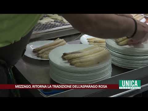 Mezzago, ritorna la tradizione dell'asparago rosa