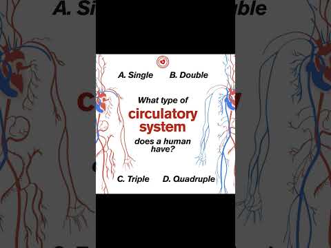 ❓ What type of circulatory system does a human have? #circulatorysystem #bodystructure #humananatomy