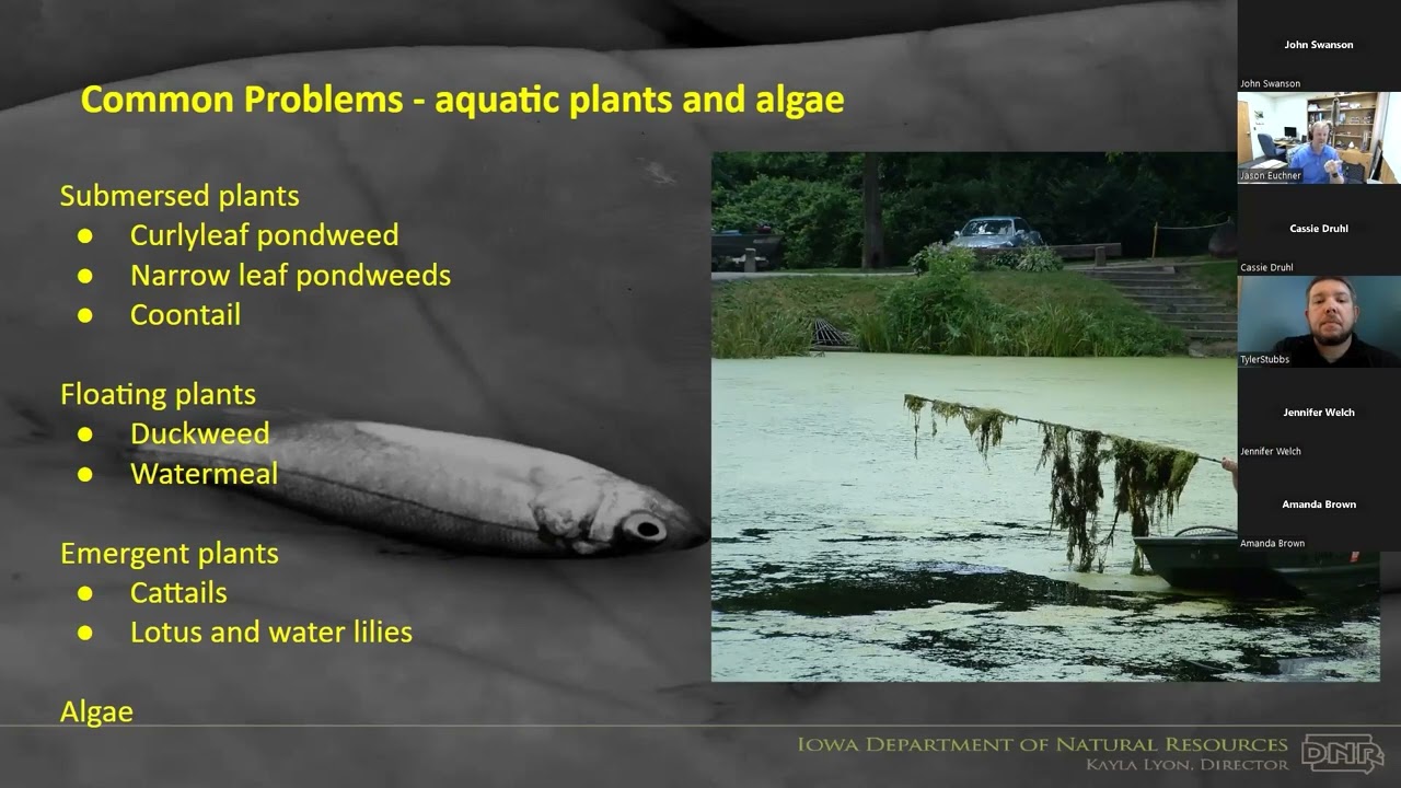 Pond Management Workshop: Plant Management