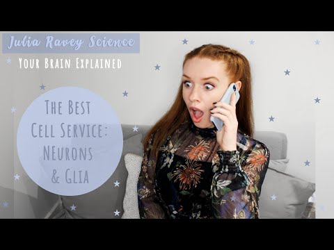 The Best Cell Service: Neurons & Glia