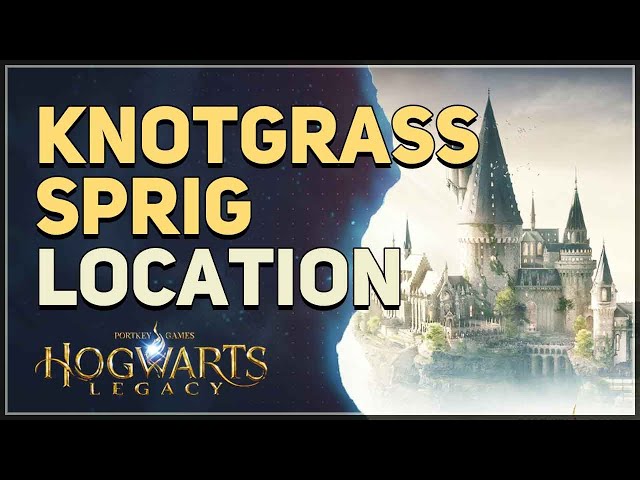 How to obtain Knotgrass seeds in Hogwarts Legacy