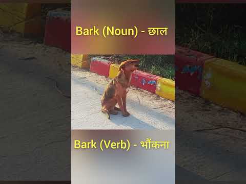 Bark को Hindi में क्या बोलते हैं? / English With Naveen