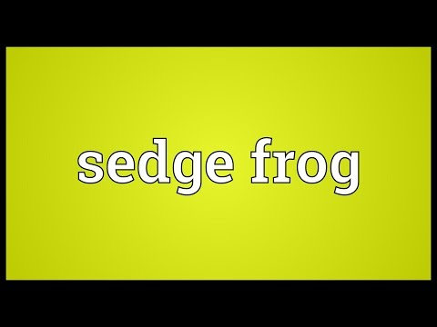 Sedge frog Meaning