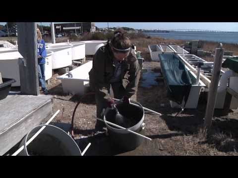 Carteret Community College - Aquaculture Technology