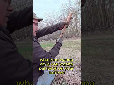 Fix broken barbed wire.