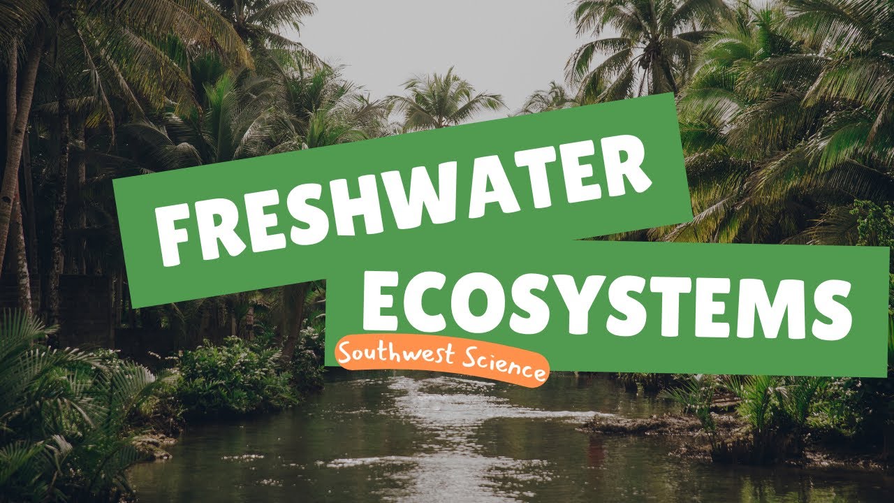 Understanding Freshwater Ecosystems The Lifeblood Of Our Blue Planet